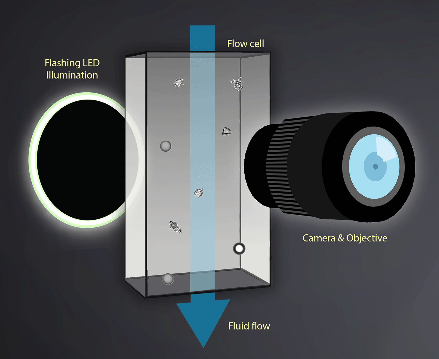 How Does FlowCam Work?